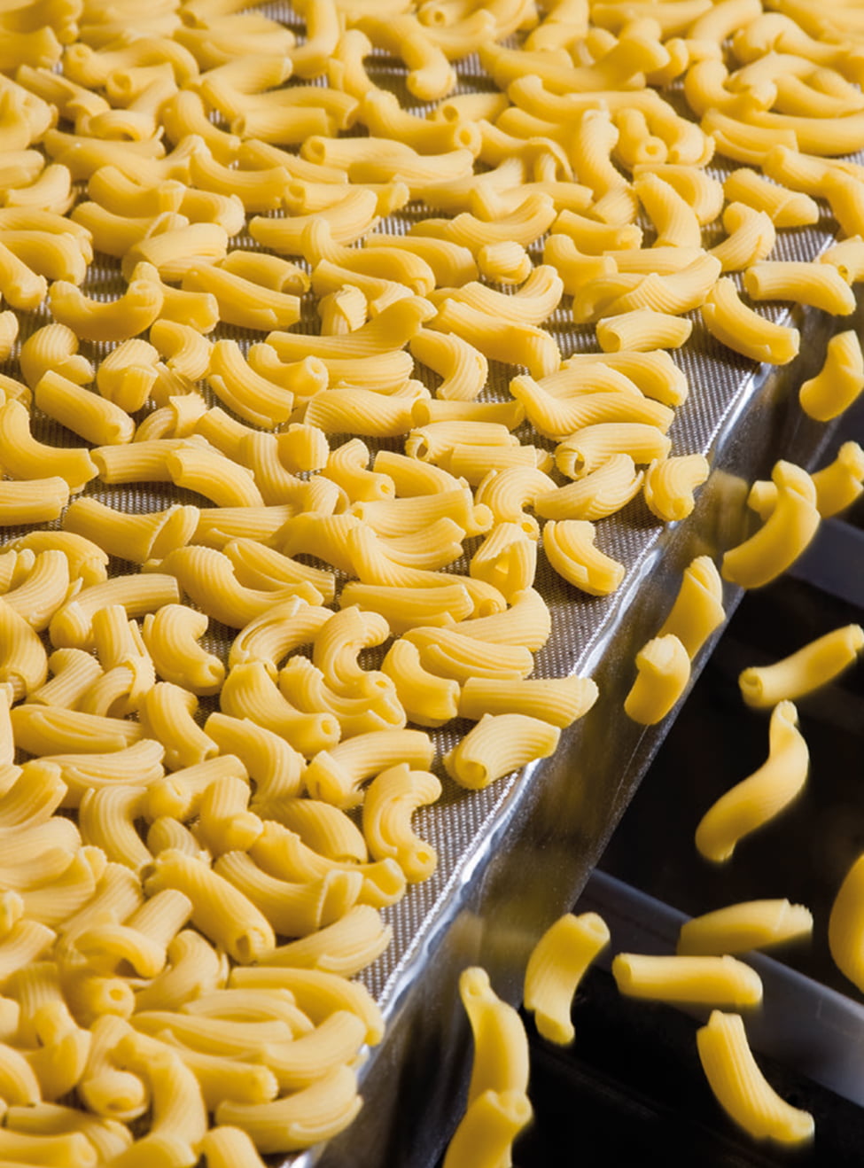 The pasta factory - Valdigrano