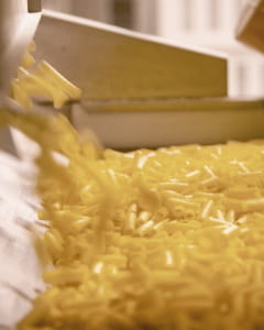 Valdigrano - Welcome